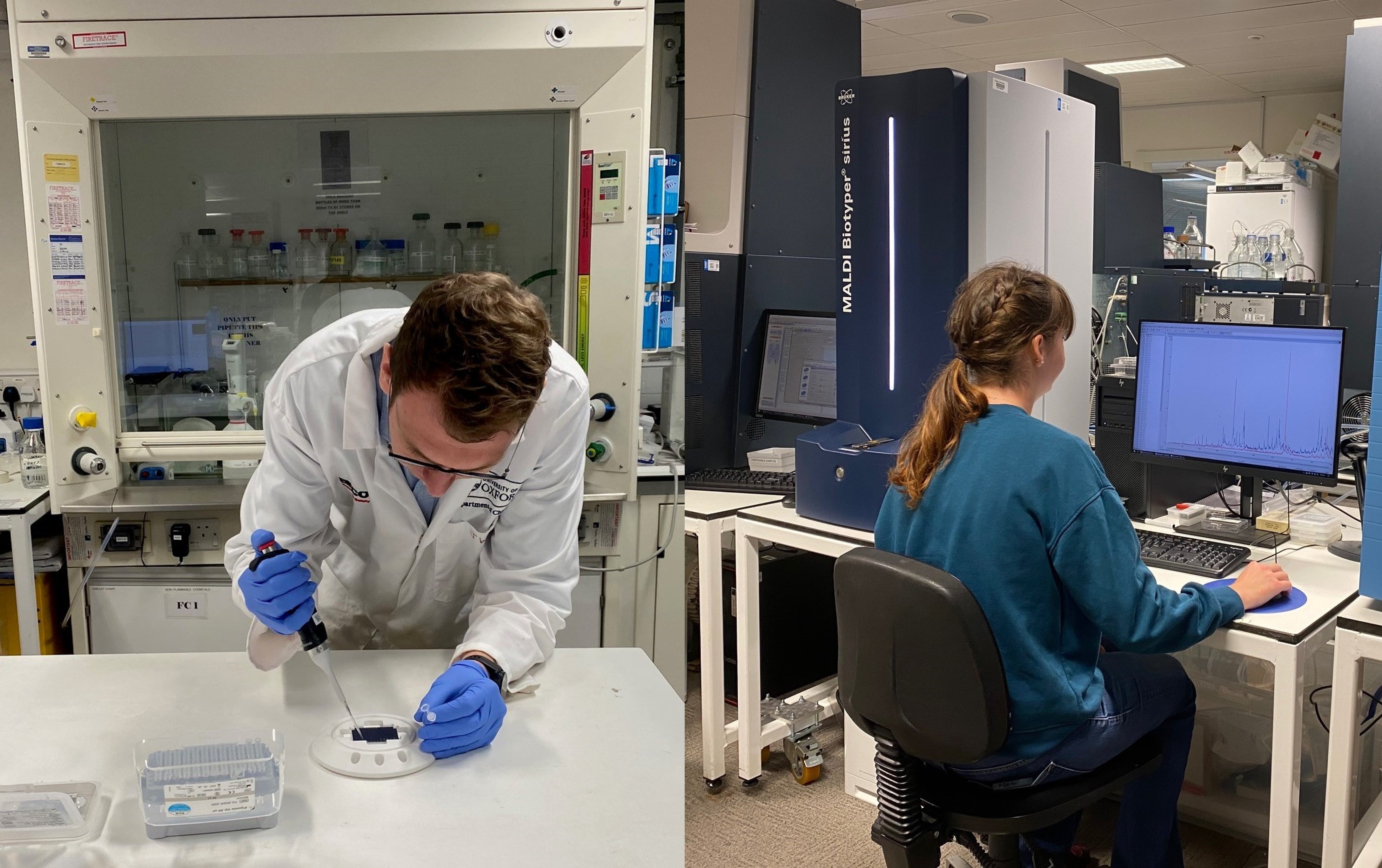 Using matrix assisted laser desorption ionisation mass spectrometry ...